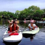 Island City ECO Paddle and Lesson to 9.3 Acre Nature Preserve - The Experience in Detail: What to Expect