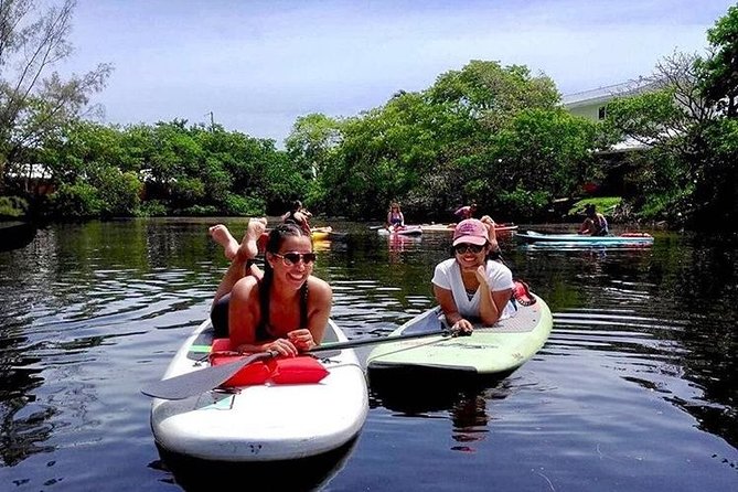 Island City ECO Paddle and Lesson to 9.3 Acre Nature Preserve - The Experience in Detail: What to Expect