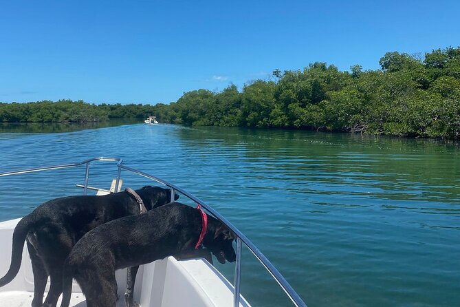 Island Hop Sandbar Adventure - What to Expect from Your Island Hop Sandbar Adventure