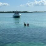 Island Hop Sandbar Adventure - Practical Tips for Your Tour