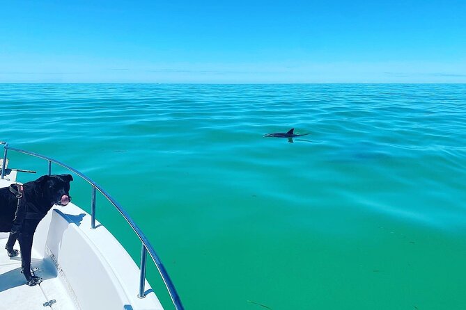 Island Hop Sandbar Adventure - Who Should Consider This Tour?