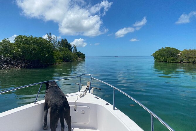 Island Hop Sandbar Adventure - Final Thoughts