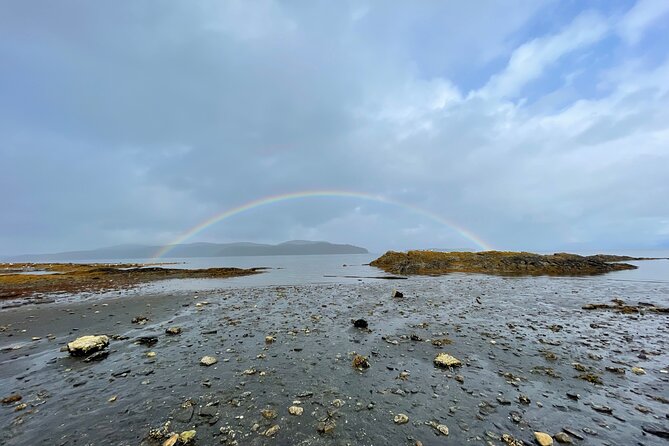 Island Hummer Tour - What Travelers Are Saying