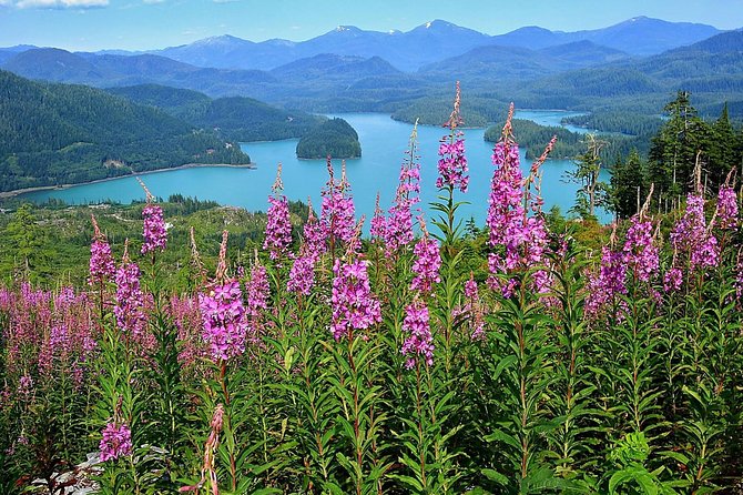Island Hummer Tour - Pricing and Value