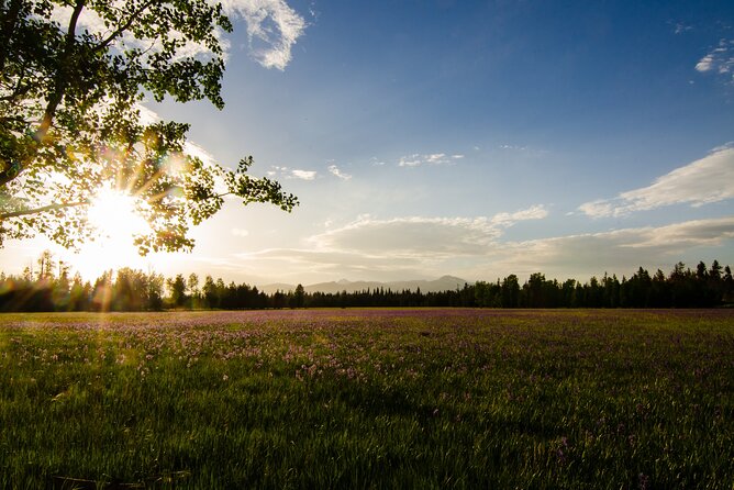 Island Park, Idaho Waterfalls and Wildlife - The Sum Up
