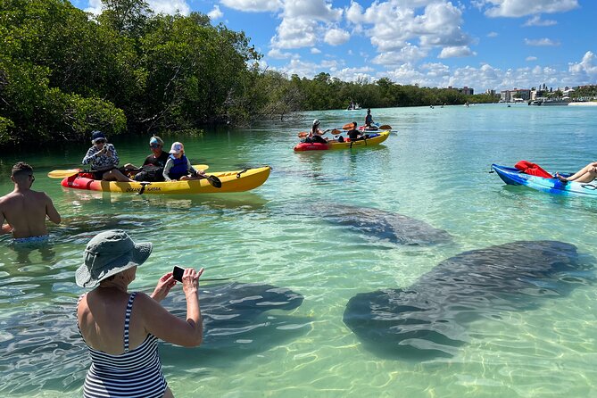 Island Tour by Pedal HOBIE / Kayak / SUP - Fort Myers Beach - The Value and Practical Aspects