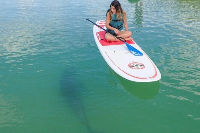 Island Tour by Pedal HOBIE / Kayak / SUP - Fort Myers Beach - Final Thoughts