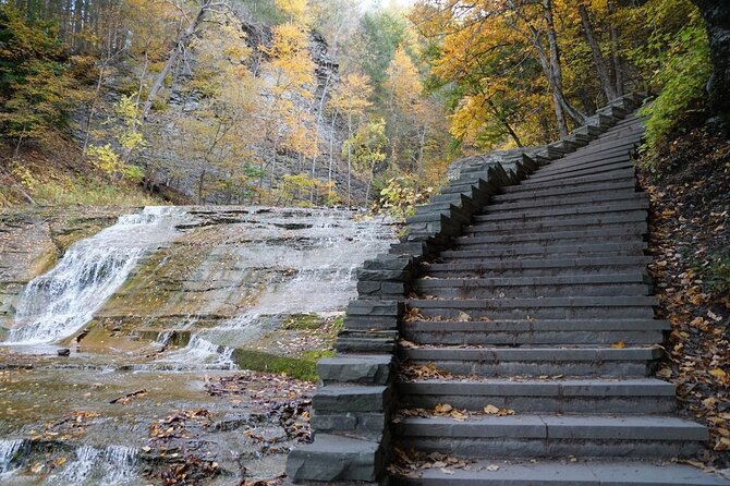 Ithaca Family Adventure: Fun & Discovery Walk - Why Choose This Tour?
