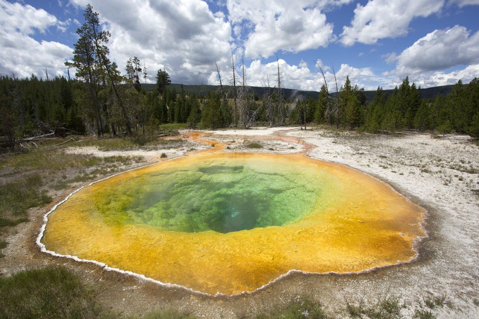 Jackson: 2-Day Yellowstone National Park Tour with Lunches - A Deep Dive into the Yellowstone 2-Day Experience