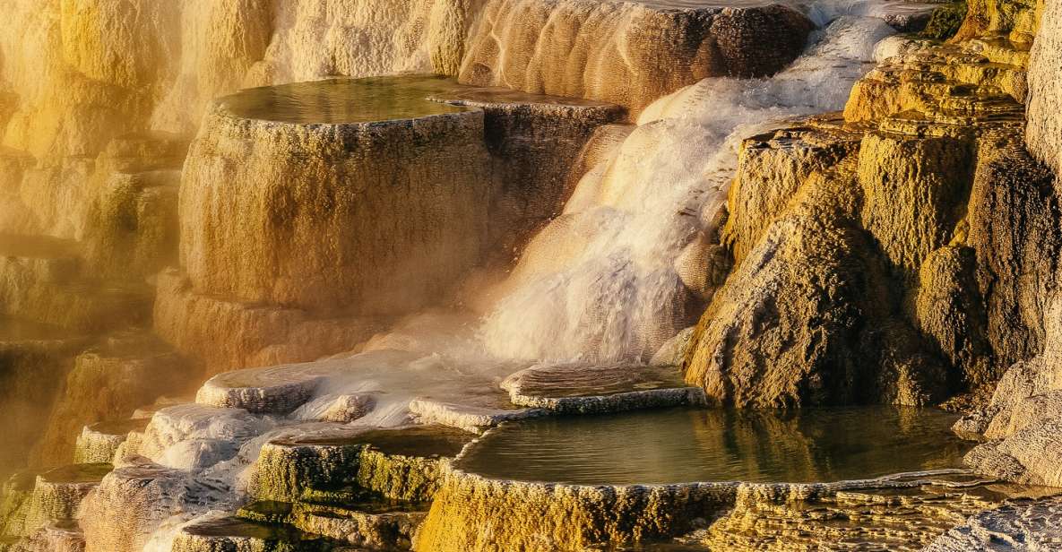 Jackson: 2-Day Yellowstone National Park Tour with Lunches - Practical Details: Logistics, Cost, and What to Bring