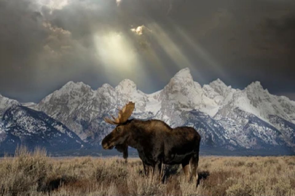 Jackson: 4-Day Grand Teton & Yellowstone Winter Tour - A Deep Dive into the 4-Day Adventure