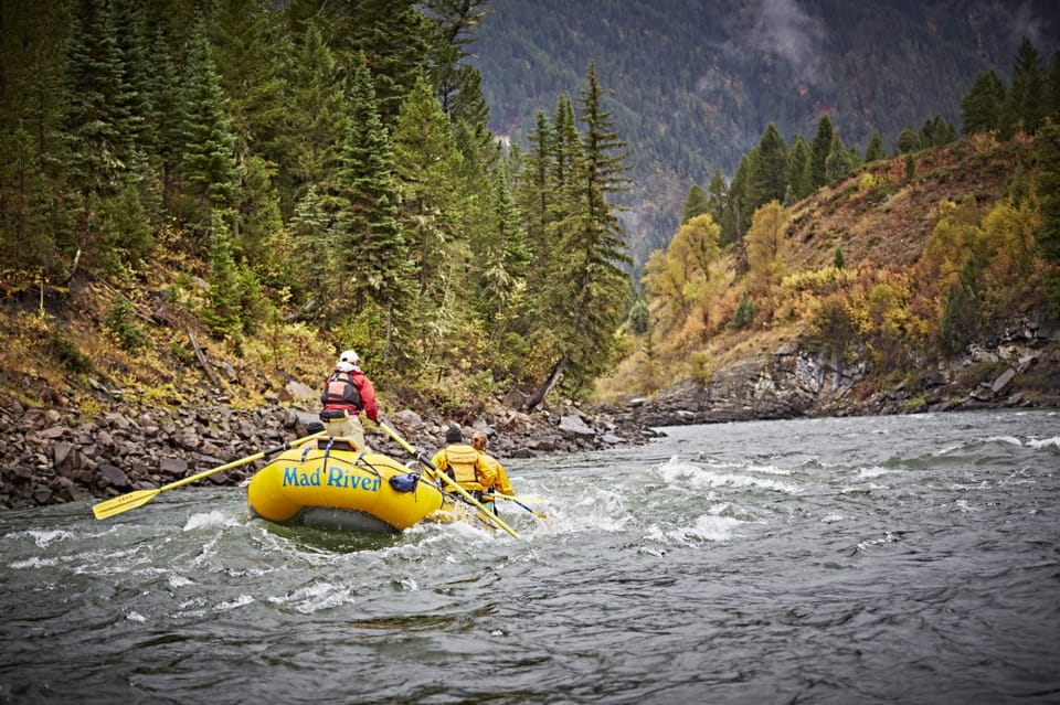 Jackson: 8-Mile Classic Boat Whitewater Rafting Trip - In-Depth Look at the Jackson Whitewater Rafting Experience