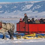 Jackson: Grand Teton and National Elk Refuge Winter Day Trip - An In-Depth Look at the Tour Experience