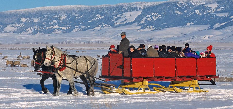 Jackson: Grand Teton and National Elk Refuge Winter Day Trip - An In-Depth Look at the Tour Experience