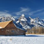 Jackson: Grand Teton, Bighorn Sheep, and Petroglyphs Tour - Final Thoughts: Value & Authenticity in Wyoming Wilderness