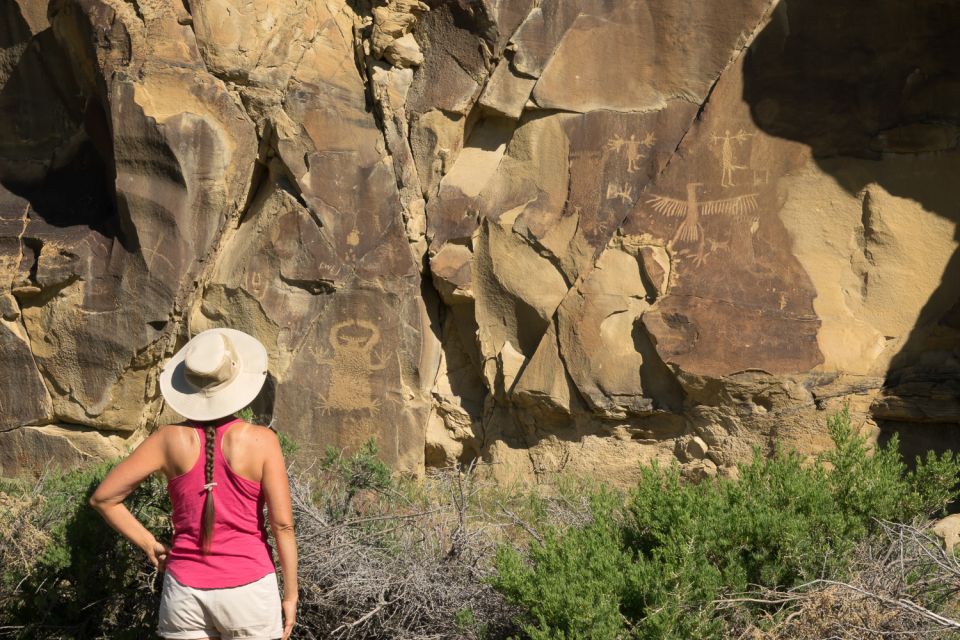 Jackson: Grand Teton, Bighorn Sheep, and Petroglyphs Tour - FAQs
