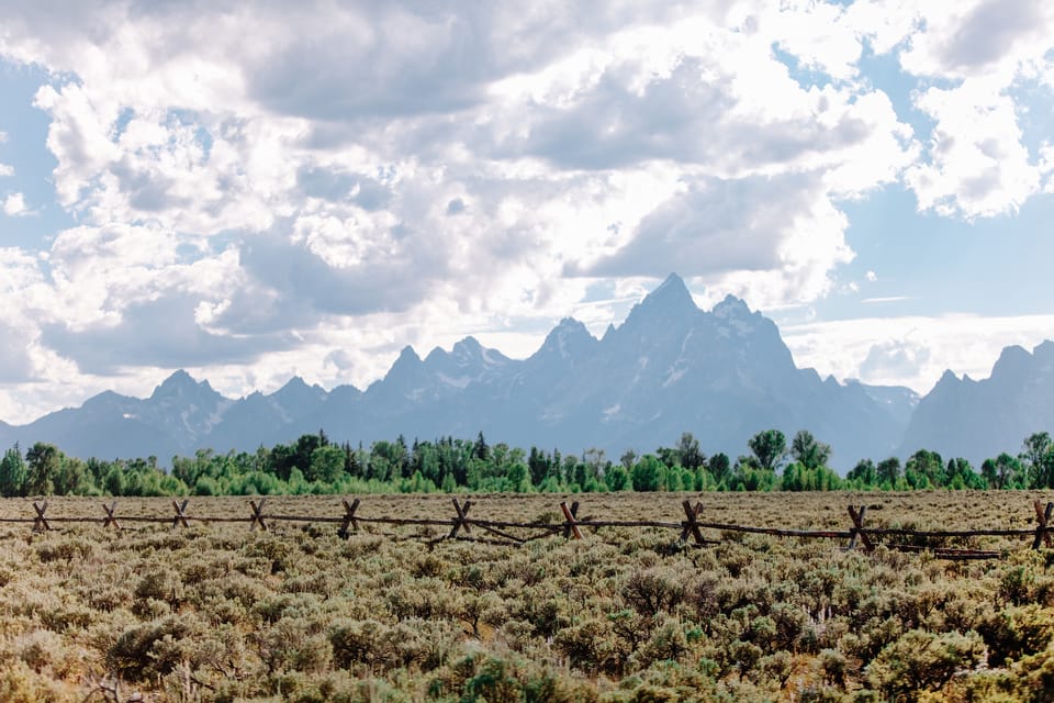 Jackson: Grand Teton Sunrise Safari with Naturalist Guide - FAQ