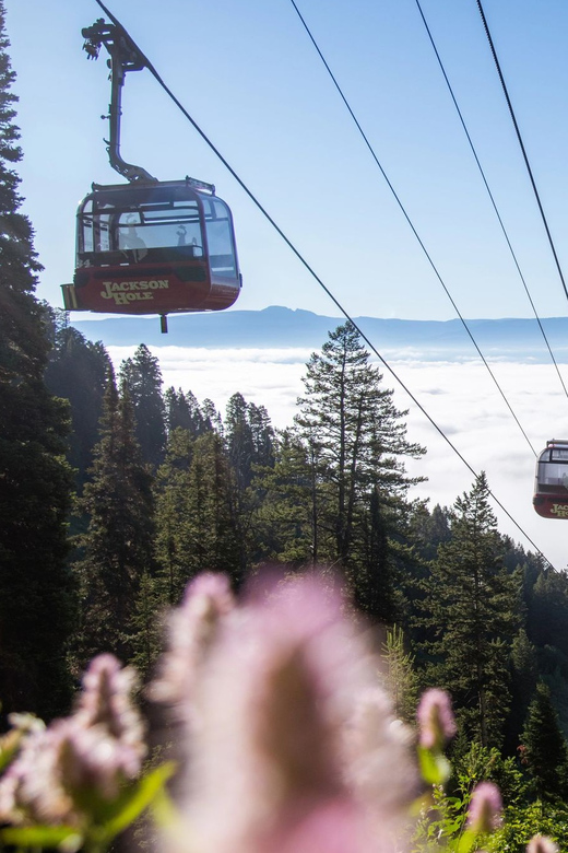 Jackson Hole: Aerial Tram and Gondolas Admission Ticket - The Ride to "The Top of the World"