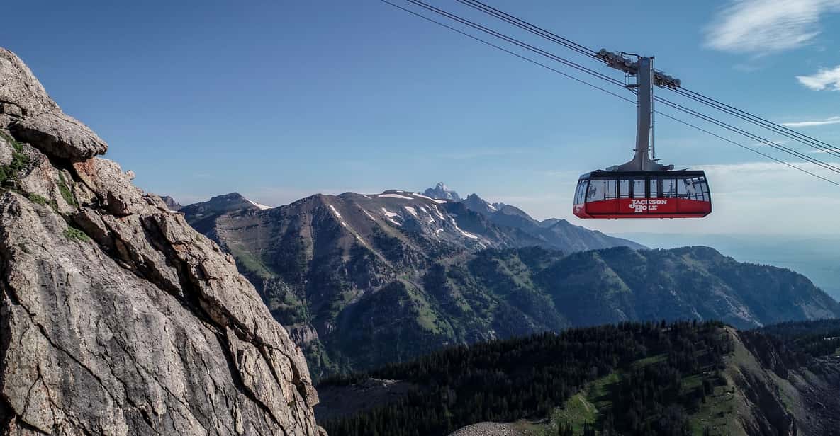 Jackson Hole: Aerial Tram and Gondolas Admission Ticket - What’s at the Summit?
