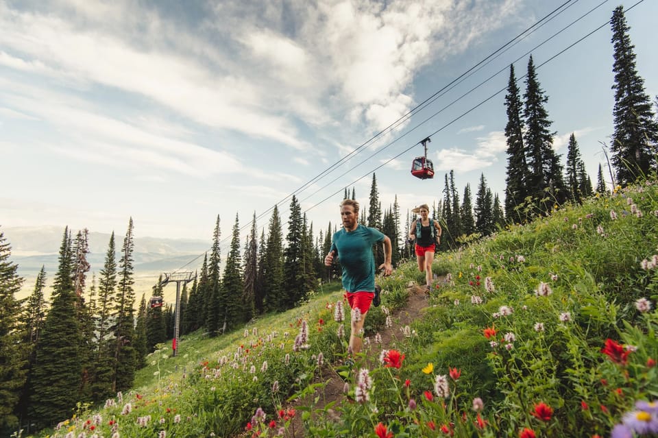 Jackson Hole: Aerial Tram and Gondolas Admission Ticket - Authentic and Practical Experiences