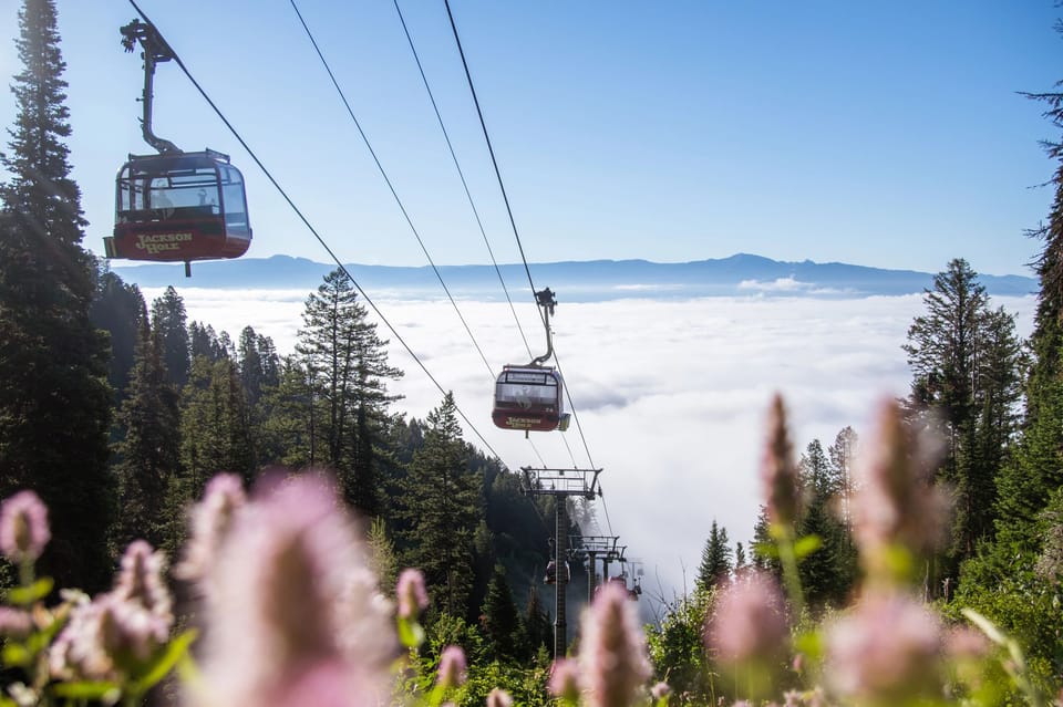 Jackson Hole: Aerial Tram and Gondolas Admission Ticket - Seasonality and Accessibility