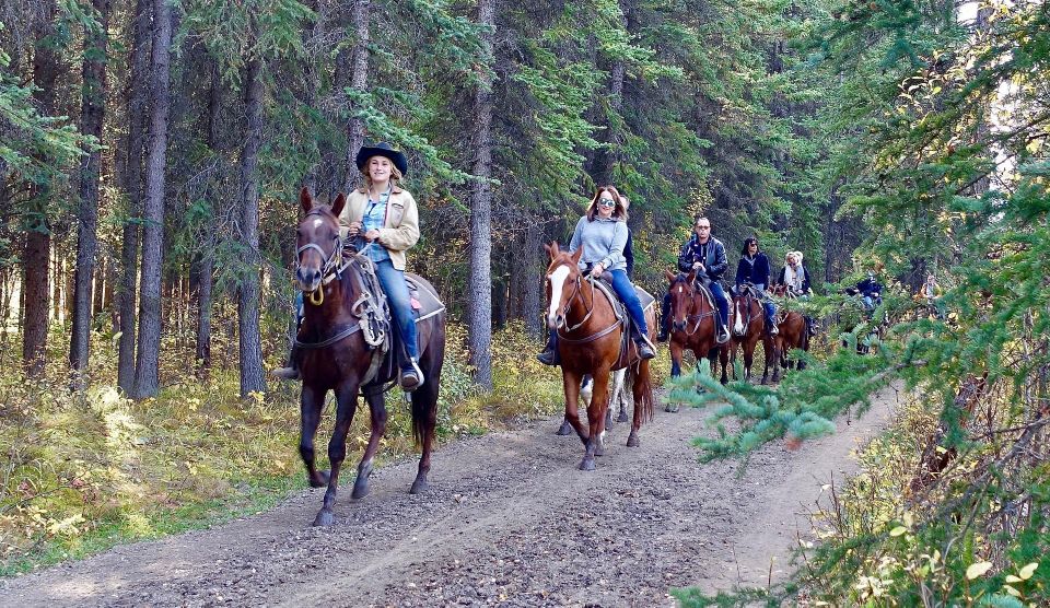 Jackson Hole: Bridger-Teton National Forest Horseback Ride - Key Points  