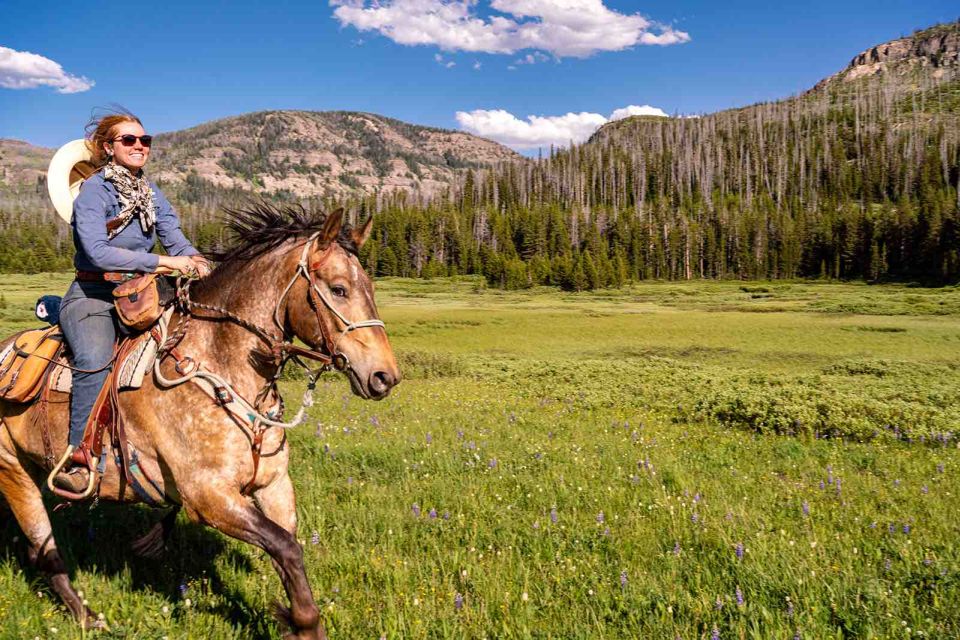 Jackson Hole: Dinner Cookout & Bridger-Teton Horseback Ride - Who Will Love This Experience?
