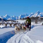 Jackson Hole Dog Sledding Adventure - Key Points