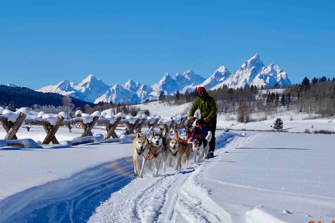 Jackson Hole Dog Sledding Adventure - Key Points
