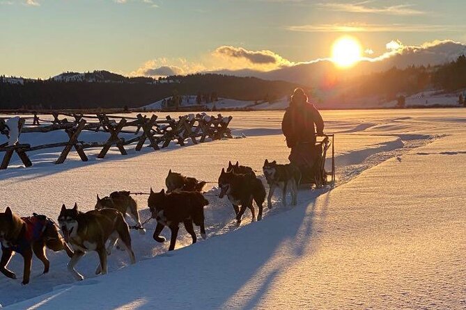 Jackson Hole Full-Day Dog Sledding and Snowmobiling Combo Trip - Key Points