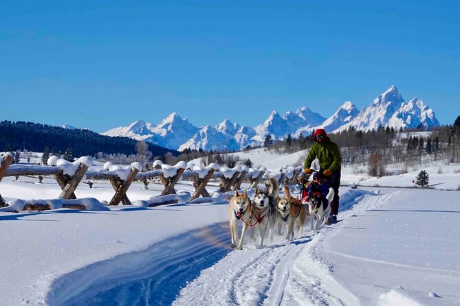 Jackson Hole Full-Day Dog Sledding and Snowmobiling Combo Trip - The Itinerary Breakdown