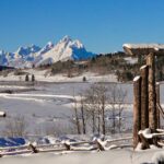 Jackson Hole Full-Day Dog Sledding and Snowmobiling Combo Trip - Authentic Experiences and Highlights