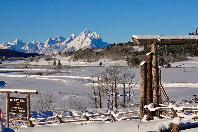 Jackson Hole Full-Day Dog Sledding and Snowmobiling Combo Trip - Authentic Experiences and Highlights