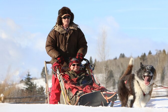 Jackson Hole Full-Day Dog Sledding and Snowmobiling Combo Trip - Who Will Love This Tour?
