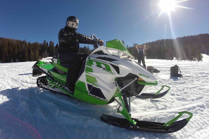 Jackson Hole Full-Day Dog Sledding and Snowmobiling Combo Trip - Final Thoughts