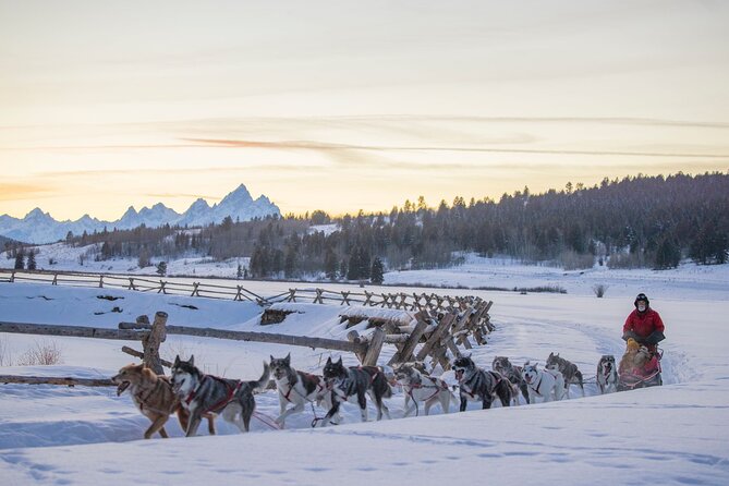 Jackson Hole Full-Day Dog Sledding and Snowmobiling Combo Trip - Frequently Asked Questions