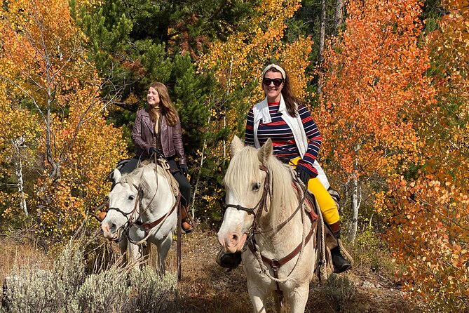 Jackson Hole Horseback Riding in Bridger Teton National Forest - An Authentic Ride Through Wyoming’s Wilderness