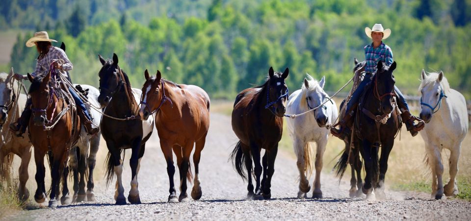 Jackson Hole: Moose Meadow Horseback Tour with Breakfast - Detailed Breakdown: Why This Tour Offers Good Value