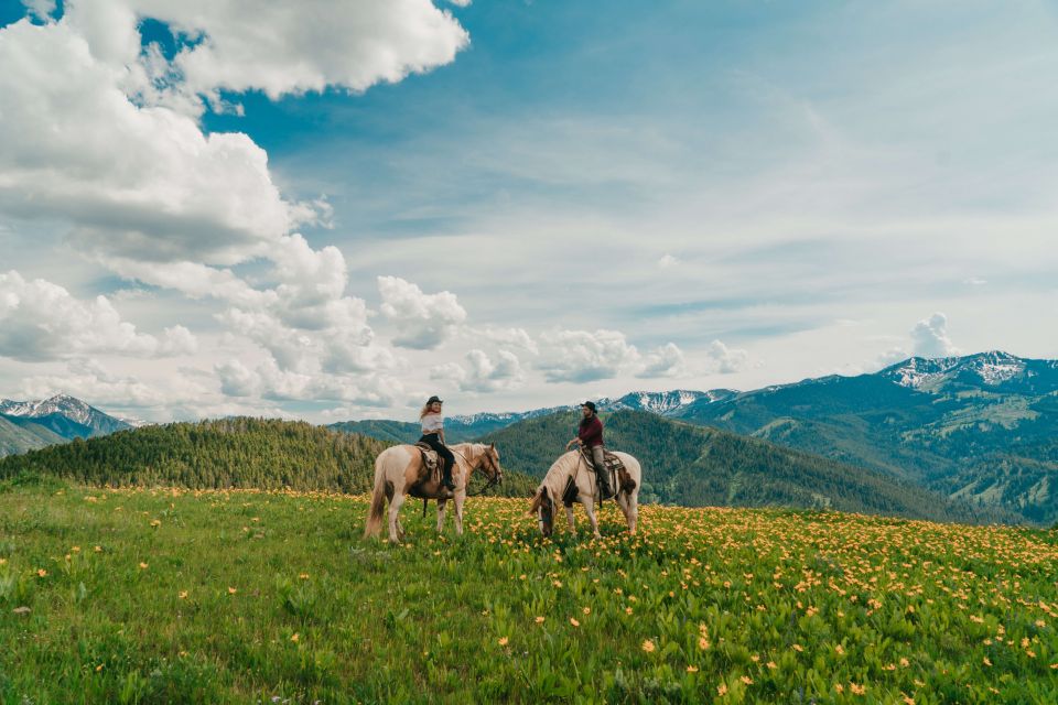 Jackson Hole: Moose Meadow Horseback Tour with Breakfast - Who Would Love This Tour?