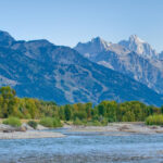 Jackson Hole: Snake River Scenic Float Tour with Chairs - What to Expect During Your Float