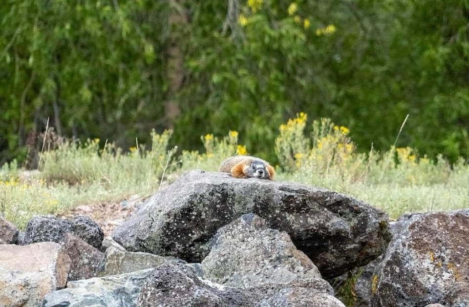 Jackson Hole: Snake River Scenic Float Tour with Chairs - Examining the Value