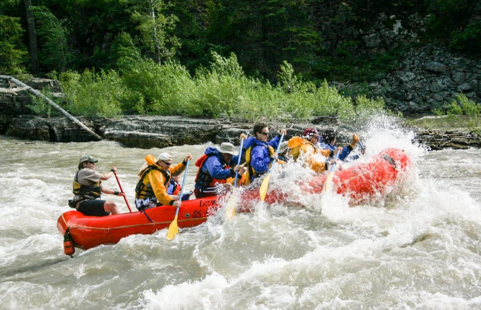 Jackson Hole: Snake River Whitewater Rafting Tour - Key Points