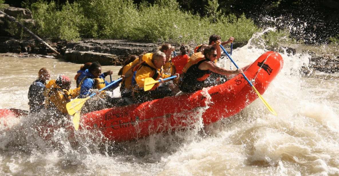 Jackson Hole: Snake River Whitewater Rafting Tour - What to Expect from the Tour