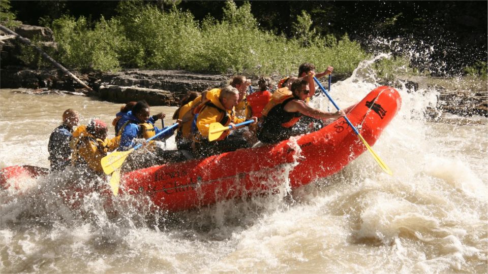 Jackson Hole: Snake River Whitewater Rafting Tour - Transportation, Duration, and Practicalities
