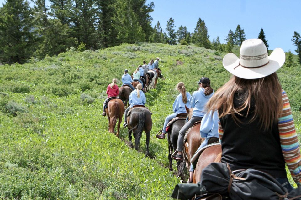 Jackson Hole: Teton View Guided Horseback Ride with Lunch - Who Will Love This Experience?