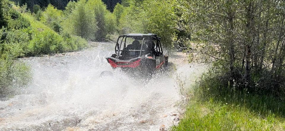 Jackson Hole: Togwotee Mountain Lodge UTV Rental - Practical Details: Cost, Duration, and Group Size