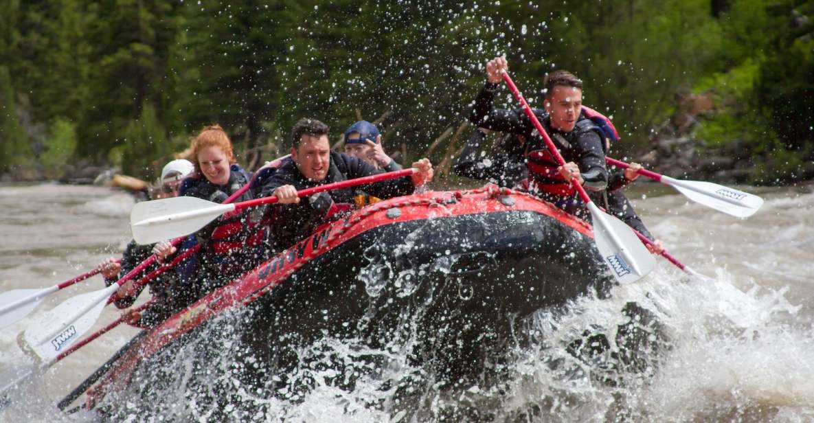 Jackson: Snake River Class 2-3 Whitewater Rafting Adventure - Who Will Love This Experience?