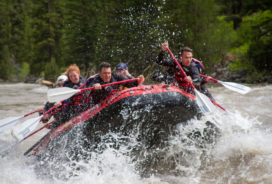 Jackson: Snake River Class 2-3 Whitewater Rafting Adventure - Practical Details: What You Need to Know