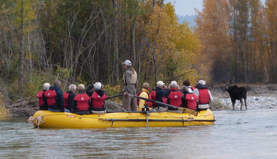Jackson: Snake River Scenic Raft Float Tour with Teton Views - Pricing and Value for Money