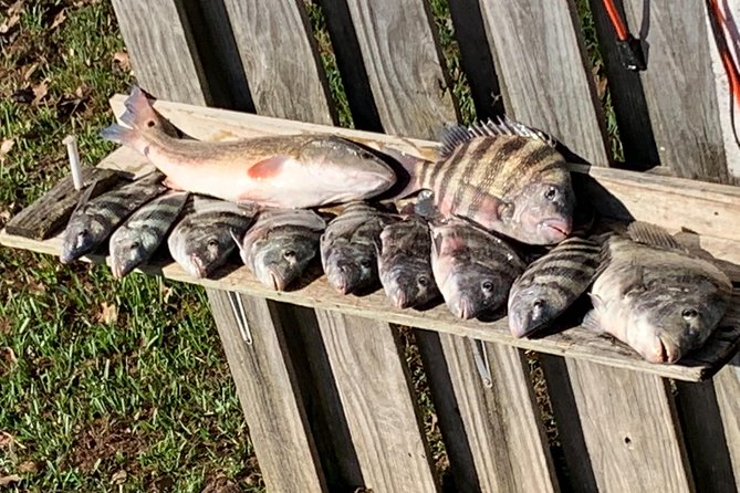 Jacksonville Fishing Charter-23' - A Practical Guide to Jacksonville Fishing Charter-23’